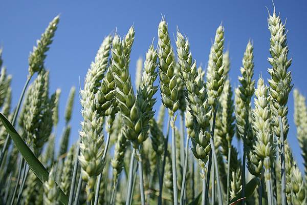 Lantbruk | Agrol Lubricants